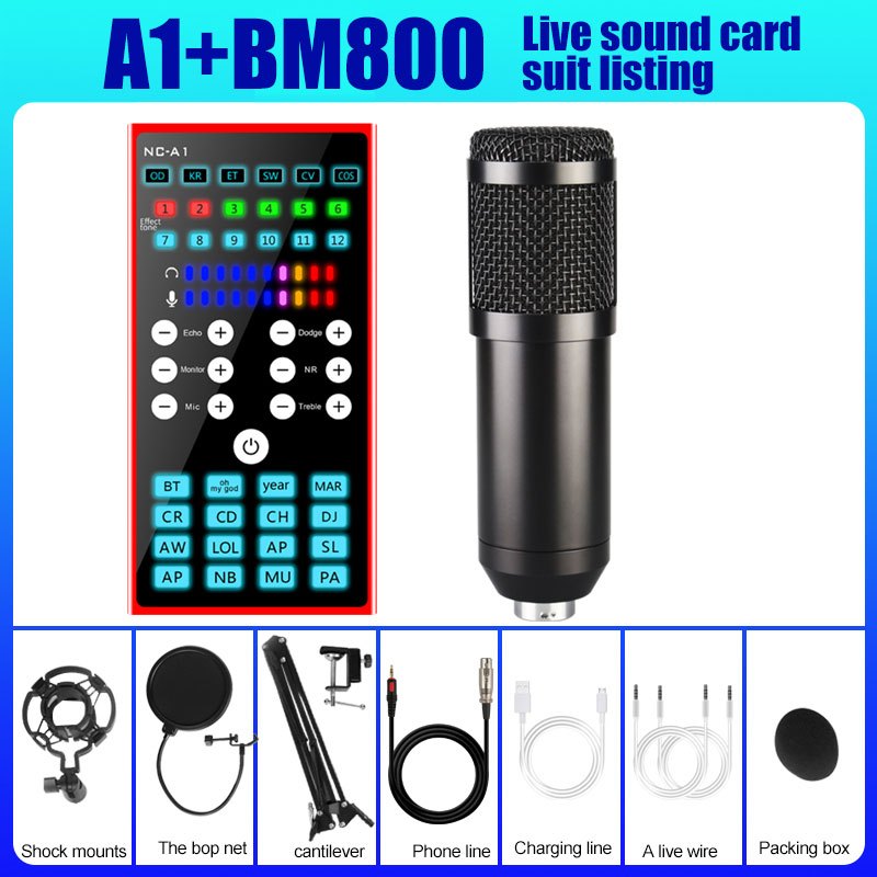 RAYHAYES Bluetooth A2 Live Sound Card Set With Condenser Mic For Live ...