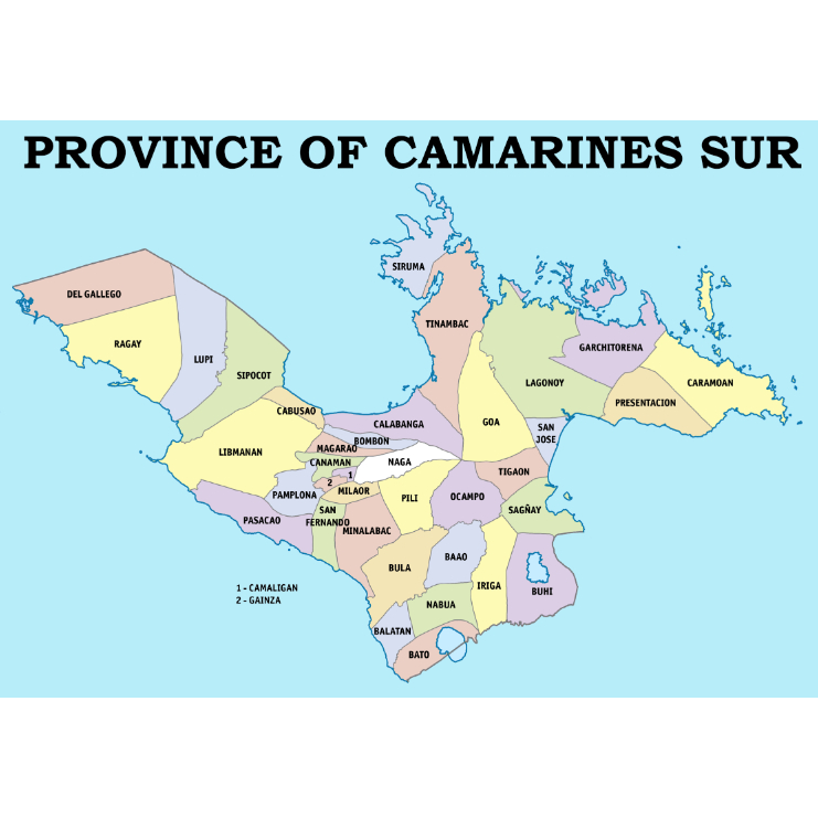 Camarines Sur Province Map A4 Laminated Chart | Shopee Philippines