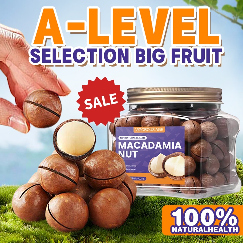 [Buy 1 Take 1)] Macadamia Nuts ReadyTo Eat Creamy Nuts Daily ...