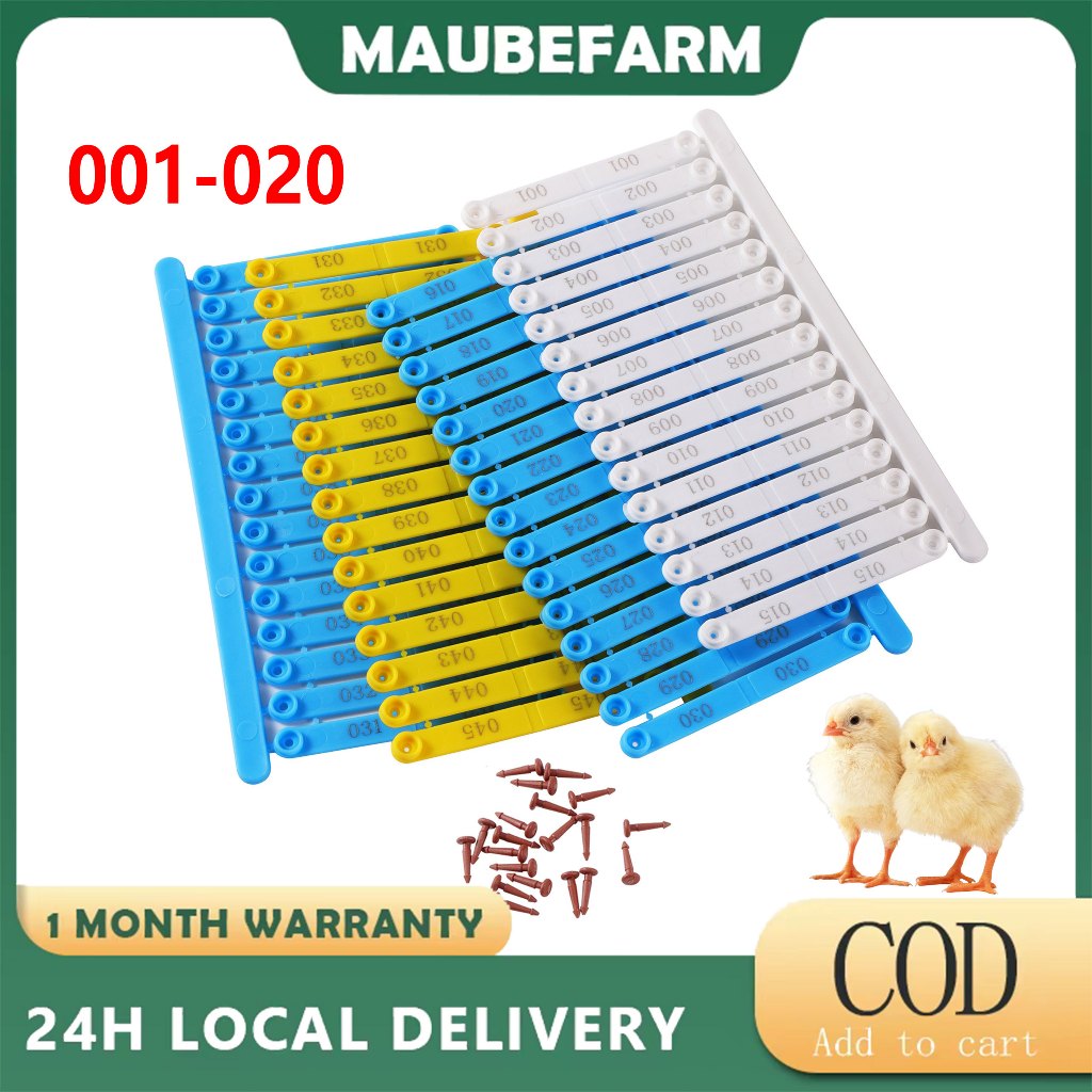 20Pcs Chicken Wings Identification Tag for Bird Pigeon Duck Goose Wings ...