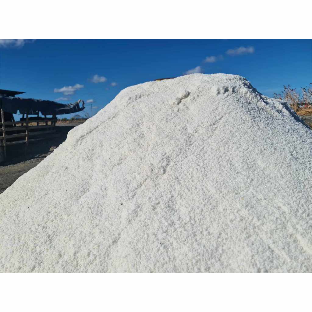 solar salt local harvest | Shopee Philippines