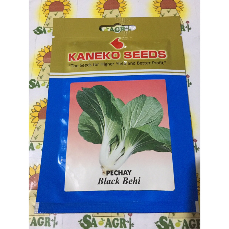 Black Behi Pechay Seeds (10g) | Shopee Philippines