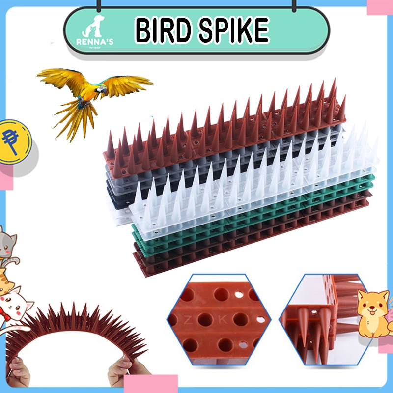 Renna's Bird Spikes Bird Toys Cat Deterrent Spikes Outdoor Anti-Climb ...
