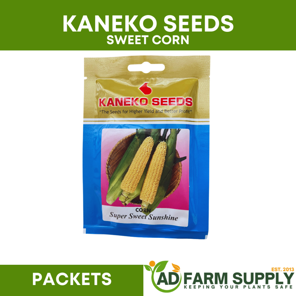Kaneko Seeds - Super Sweet Sunshine (Sweet Corn High Quality Seeds ...