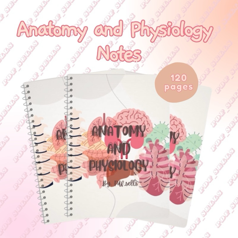 ANATOMY AND PHYSIOLOGY NOTES(NEW DESIGN) | Shopee Philippines