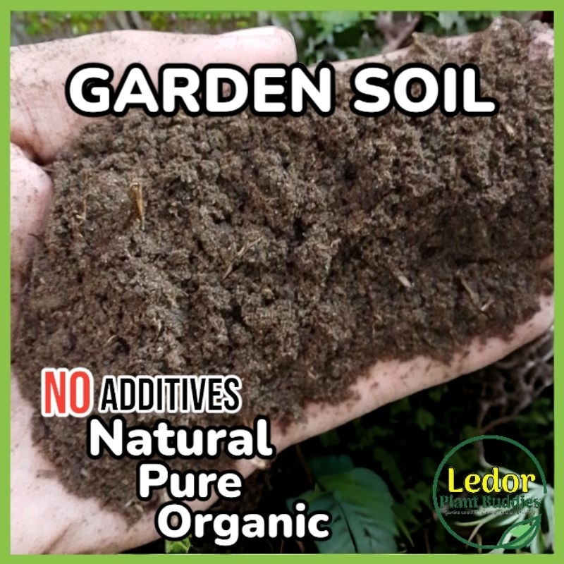 1kg Pure Garden Soil Organic Natural No Fertilizer lupa pang halaman ...