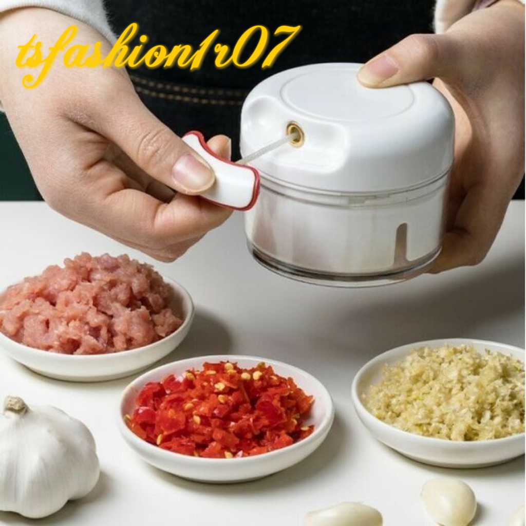 TS Mini Food Chopper Hand Pull Garlic Grinder Onion Ginger Masher ...