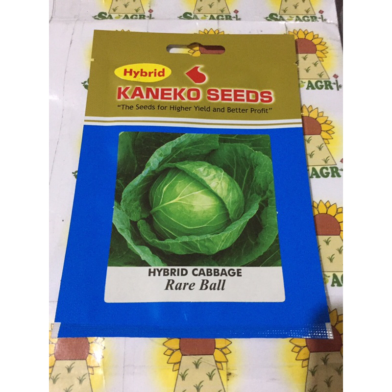 Rareball Hybrid Cabbage Seed (1g) | Shopee Philippines