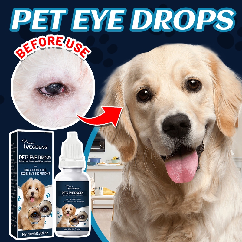 Pet Eye Drops Dog For Lnfection For Dogs & Cats Eyes Cloudy And Tear ...