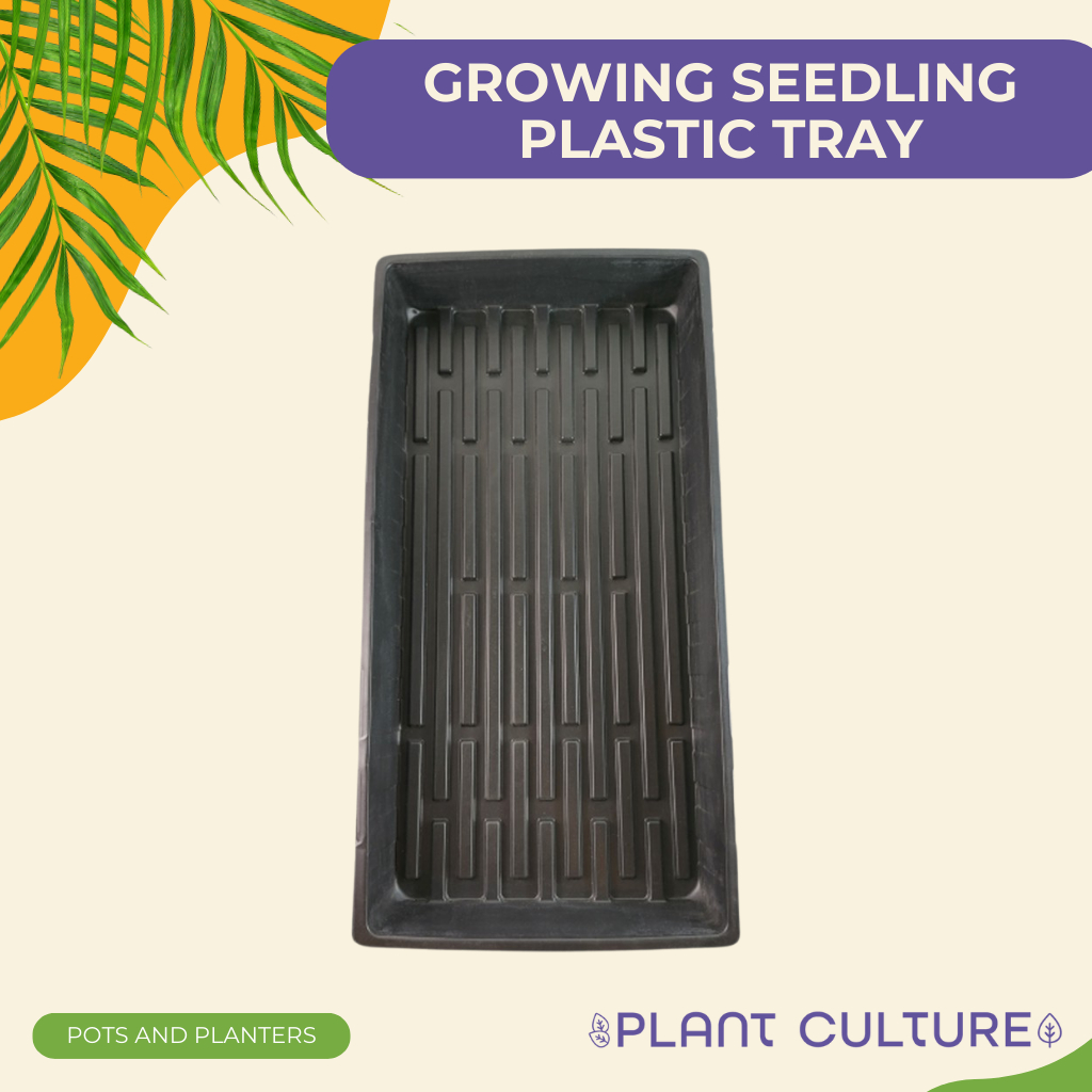 Growing Seedling Plastic Tray for Propagation, Seedlings, Germination ...