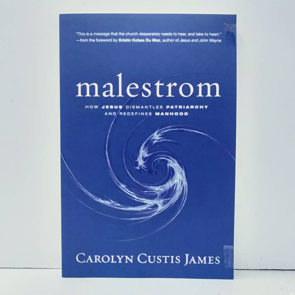 MALESTROM : How Jesus Dismantles Patriarchy and Redefines Manhood ...