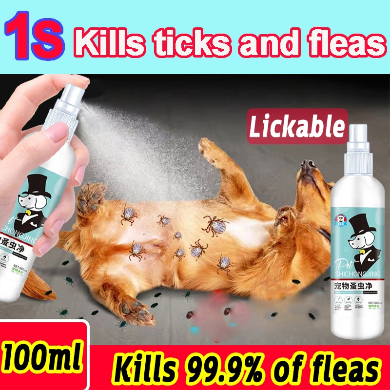 Wutuns Anti Flea And Tick For Dog Spray Garapata Remover Kill Ticks For ...