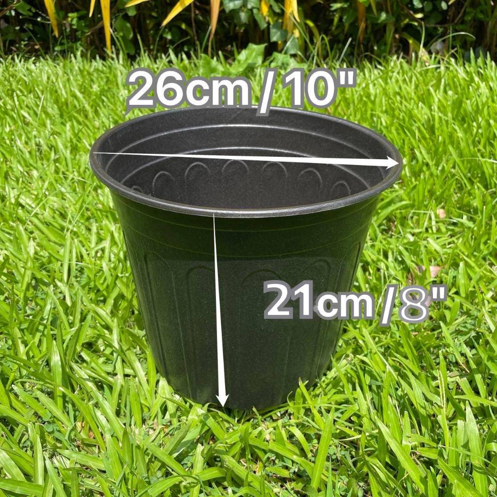 FAMILIFE 1-Dozen/12pcs (16cm-29cm) Long Thick Black PVC Pots/Durable ...