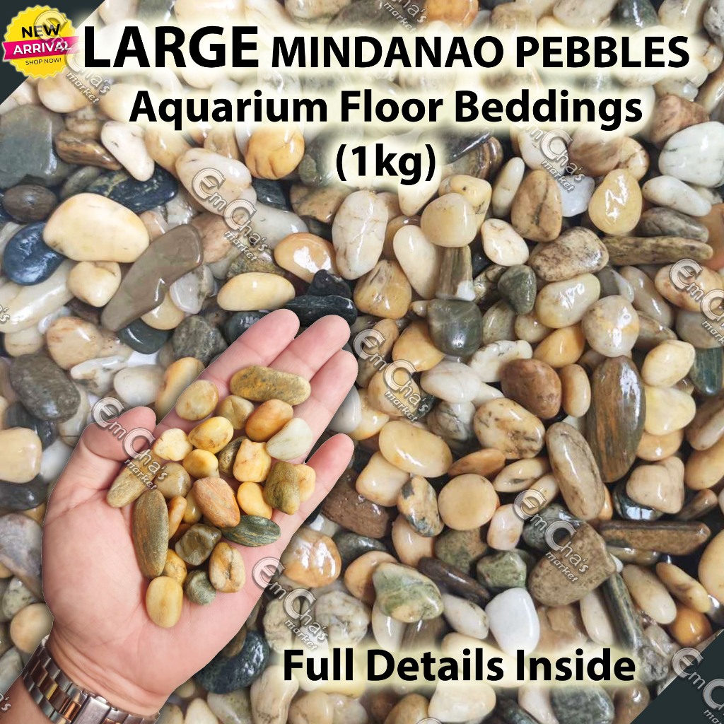 1kg ORIGINAL MINDANAO Pebbles (LARGE SIZE) Assorted Mindanao Aquarium ...