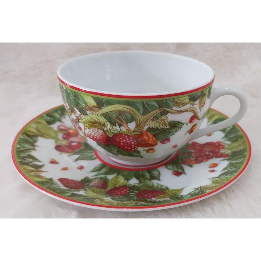 Authentic Exclusive HERMES Le Jardin de Pythagore Cup and Saucer ...