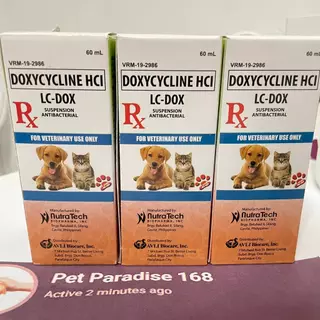 Shop doxycycline for Sale on Shopee Philippines