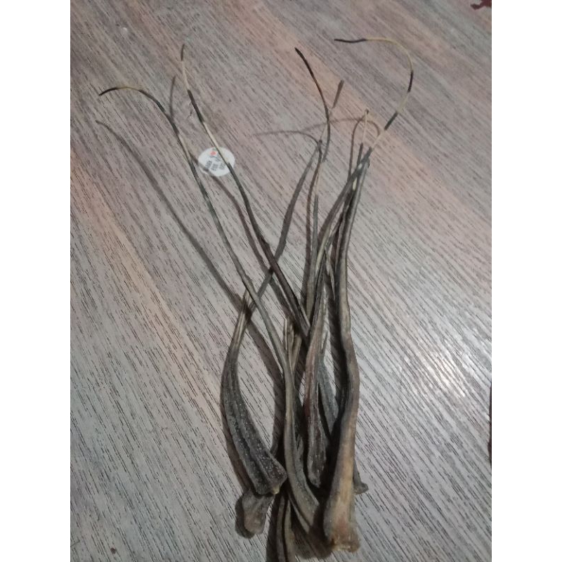 BUNTOT PAGI CHARM 12 INCHES IN UP | Shopee Philippines