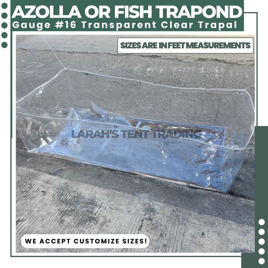 TRANSPARENT AZOLLA BEDS GAUGE#16 AZOLLA POND TRANSPARENT CLEAR TRAPOND ...