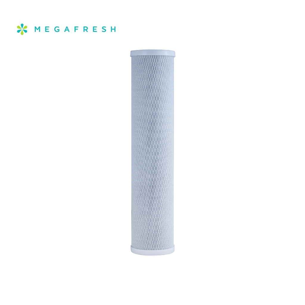 Megafresh (CTO) FI20 | Shopee Philippines