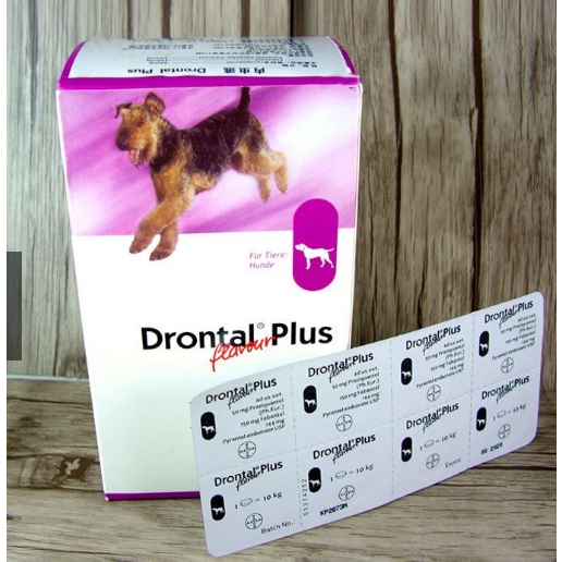 Drontal Plus Tablets for Dogs Tasty Dewormer 1 Tablet(sold per capsule ...