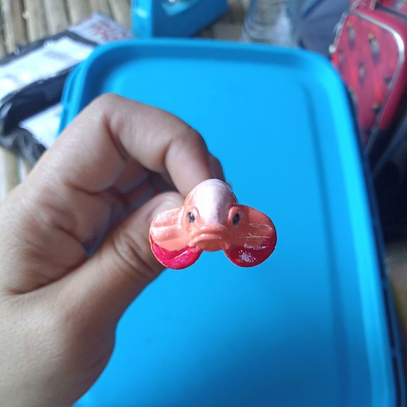 Flairing stick toys for Betta fish (head only) | Shopee Philippines