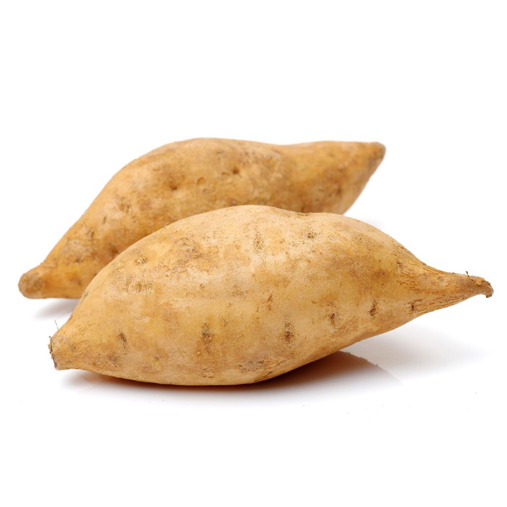 Yellow Sweet Potato(Organic) | Shopee Philippines