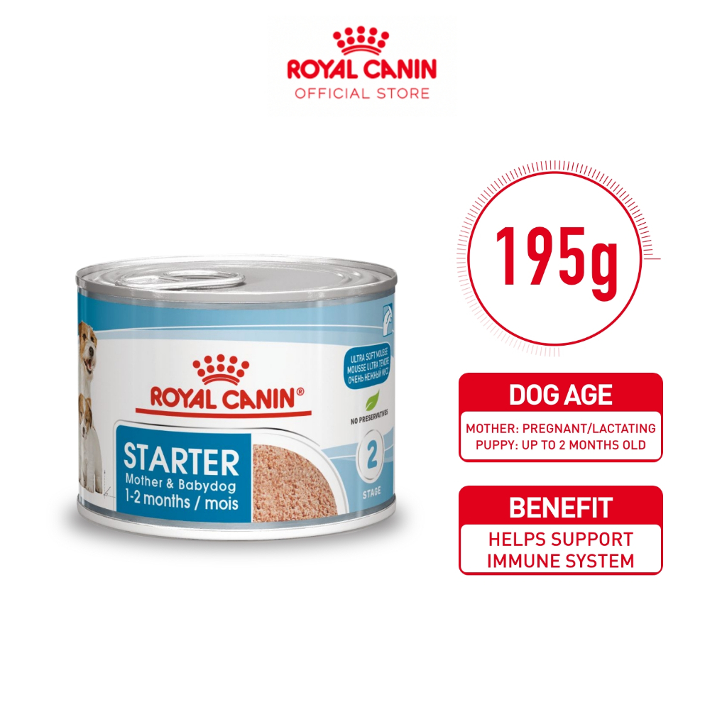 Royal Canin Starter Mousse Mother & Babydog (195g) Wet Food - Canine Health Nutrition | Shopee ...
