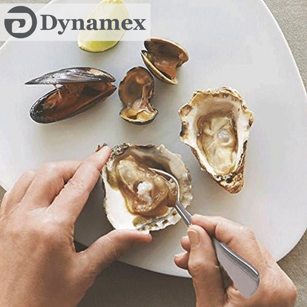 Dynamex 6pc B042 Oyster Fork 14.5cm | Shopee Philippines