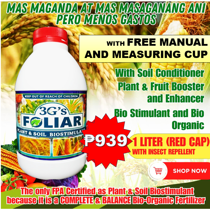 3Gs FOLIAR – ALL IN ONE SUPER FOLIAR BIO ORGANIC LIQUID FERTILIZER ...