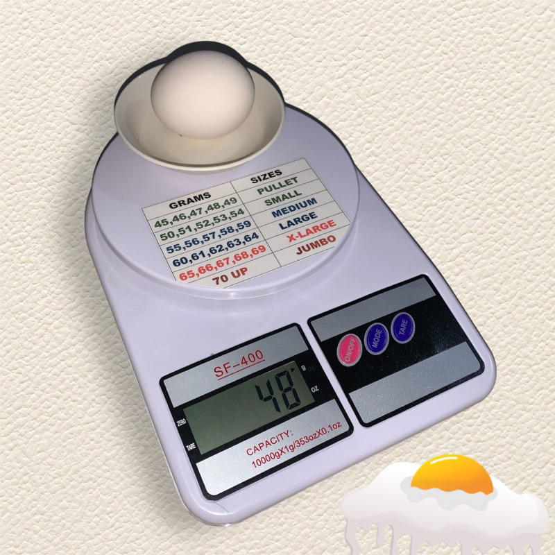 Digital Egg Weighing Scale dual function scale kitchen scale | Shopee ...