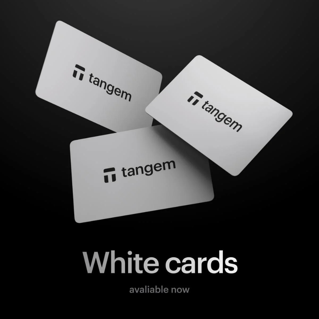 Tangem Wallet 2.0 (non-custodial cold storage crypto wallet) | Shopee ...