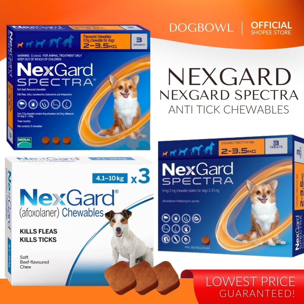 Nexgard and Nexgard Spectra Anti Ticks and Fleas Chewable Tablet 1x for ...