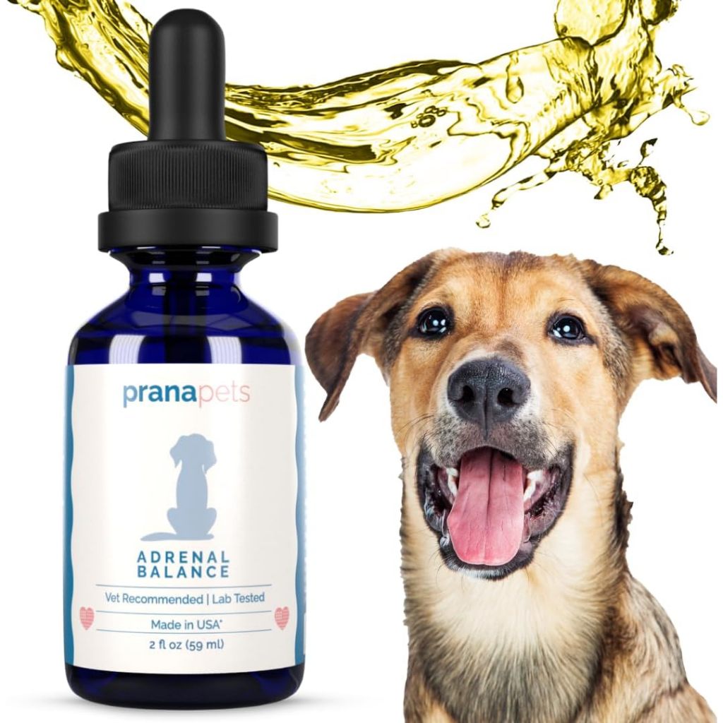 Prana pets Adrenal Balance Herbal Formula for Dogs with Cushing’s ...