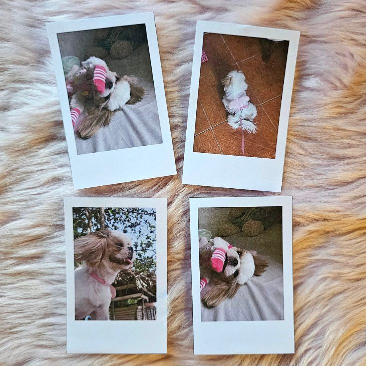 MINI INSTAX INSPIRED PHOTO PRINT | Shopee Philippines