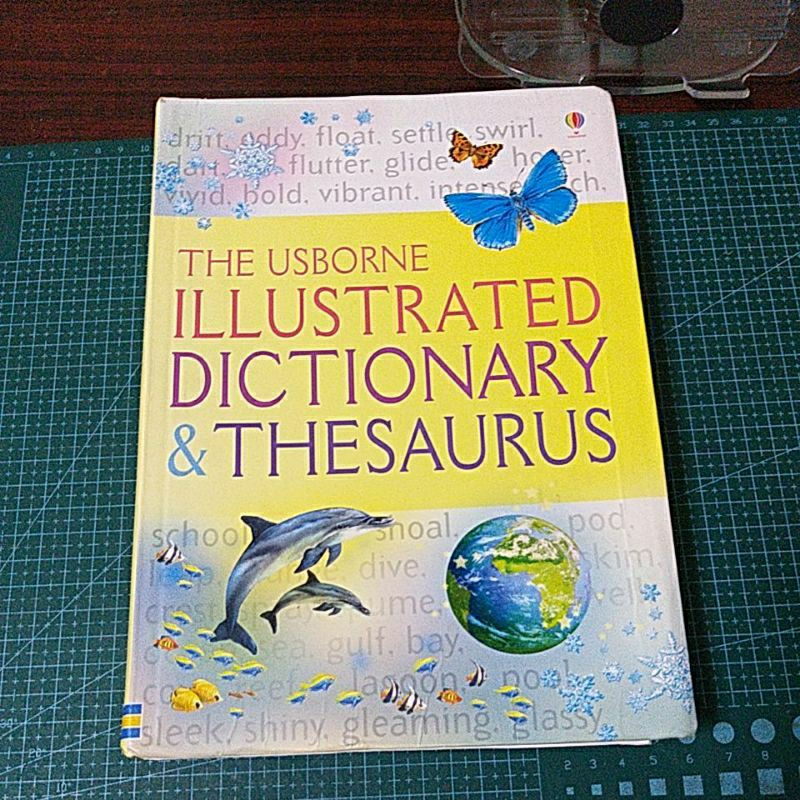 The Usborne Illustrated Dictionary & Thesaurus Softbound Secondhand ...