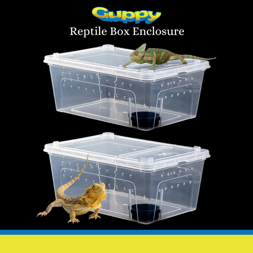 Transparent Amphibian Insect Reptile Plastic Breeding Box Transport ...