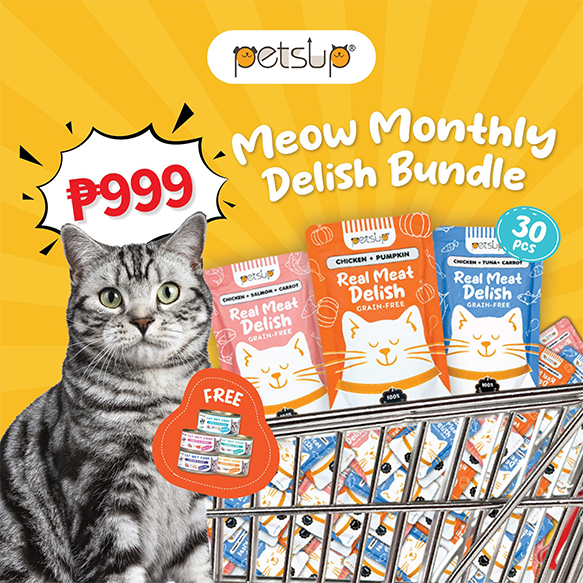 Petsup Cat Wet Food Meow Monthly Delish Bundle + FREE Cans/Pouches ...