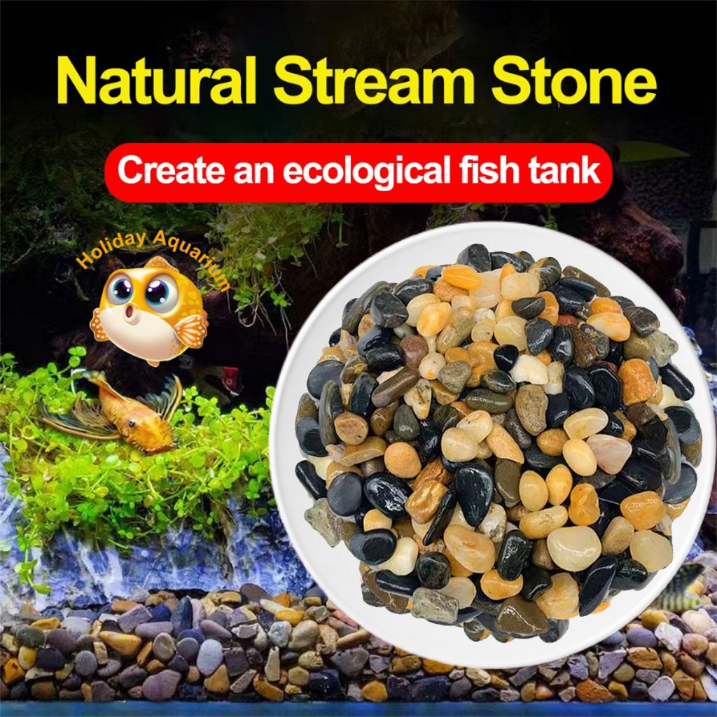 Aquarium Assorted Mindoro Pebbles River Stone Micro Landscape Aquarium ...