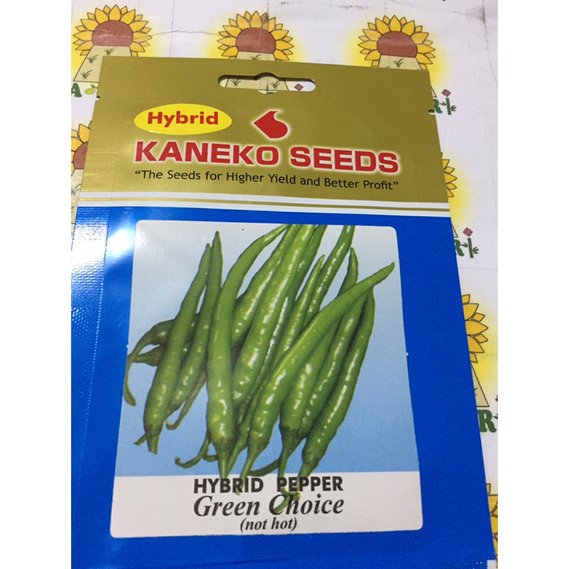 Green Choice Hybrid Pepper Panigang (not hot) seeds (120 seeds ...