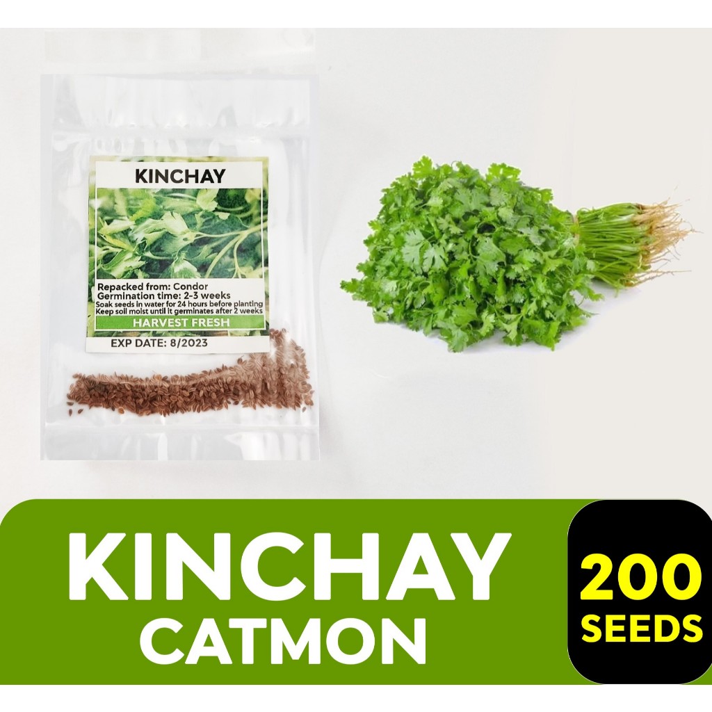 Herb Seeds - Basil Rosemary Oregano Sage Thyme Arugula Celery Coriander ...