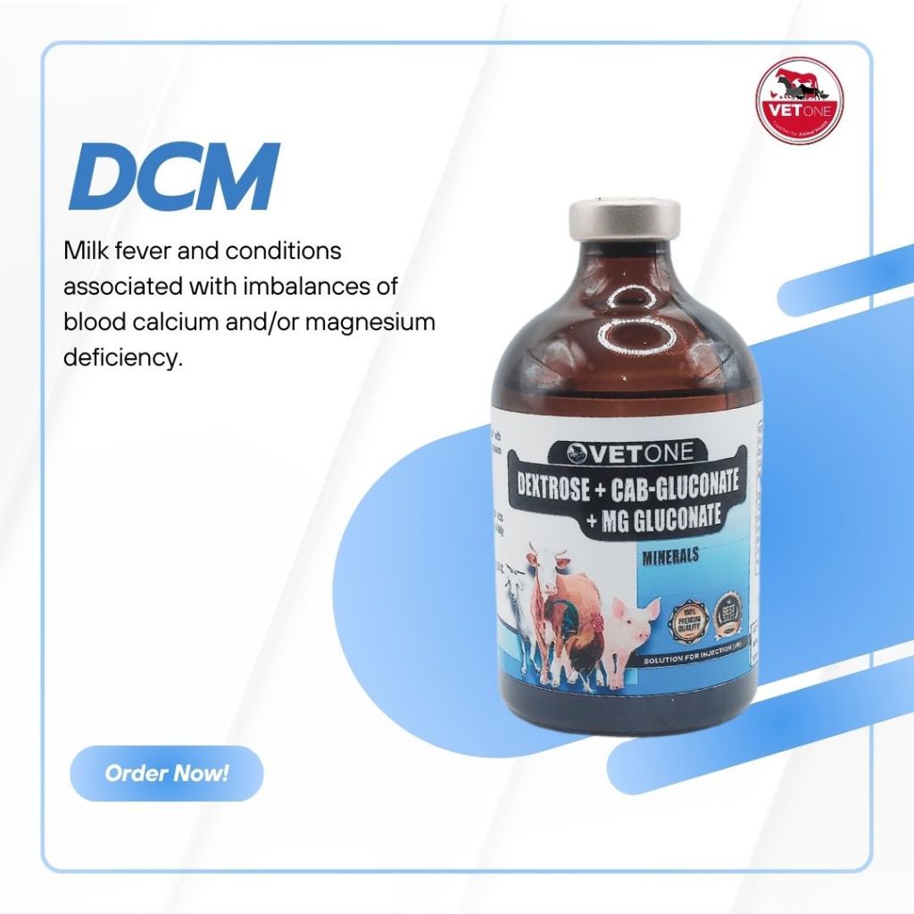 DCM injectables 100ml for animal use only | Shopee Philippines