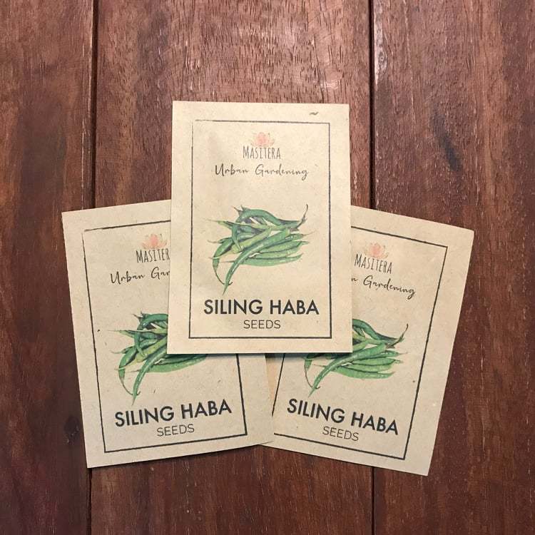 Masitera Siling Haba Seeds (1 Pack) | Shopee Philippines