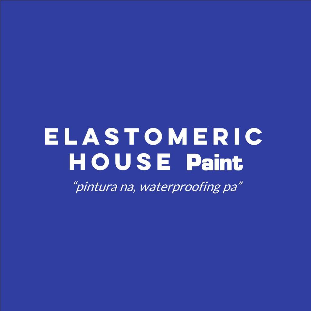 RAIN OR SHINE ELASTOMERIC PAINT Ready Mixed Colors -16L (Pail/Timba ...