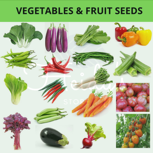 Vegetables Seeds and Fruit Seeds 2nd Batch for Planting | Shopee ...