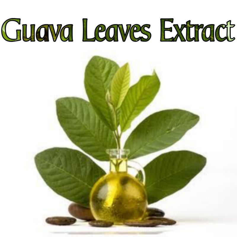 Guava Leaves Extract (Water Soluble) | Shopee Philippines