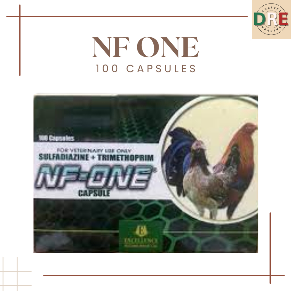 NF ONE Anti-bacterial (100 Capsules) | Shopee Philippines