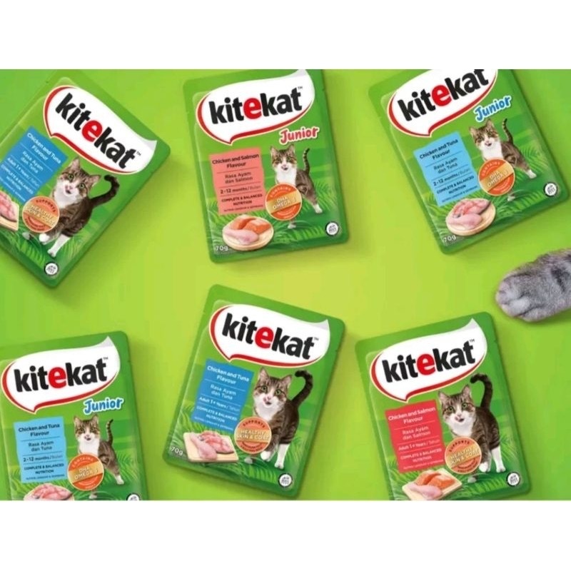 70g Kitekat Cat Wet Food Cats Snack Pouch DR Pet Supplies | Shopee ...