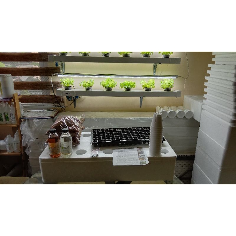 Starter Kit for Hydroponics | Shopee Philippines