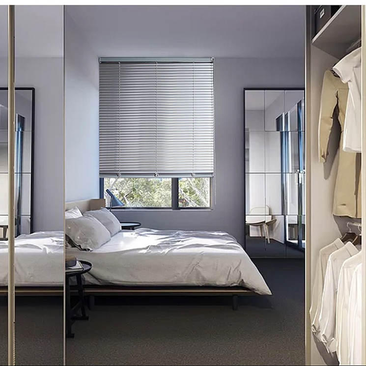 Vertical Shutter Vertical Curtain Office Balcony French Window Glass ...