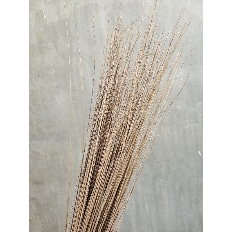 Native Coconut stick Broom | Shopee Philippines